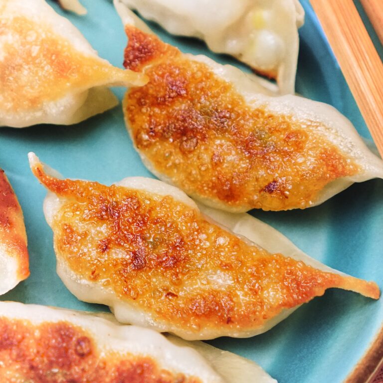 Gyoza | Pan Fried Dumplings - Khin's Kitchen | Appetizer