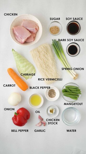 Pancit Bihon ( Filipino Fried Rice Noodle ) - Khin's Kitchen