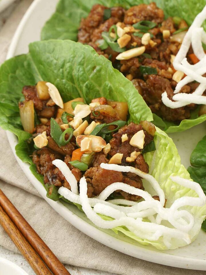 Asian Appetizer & Starter Recipes - Khin's Kitchen
