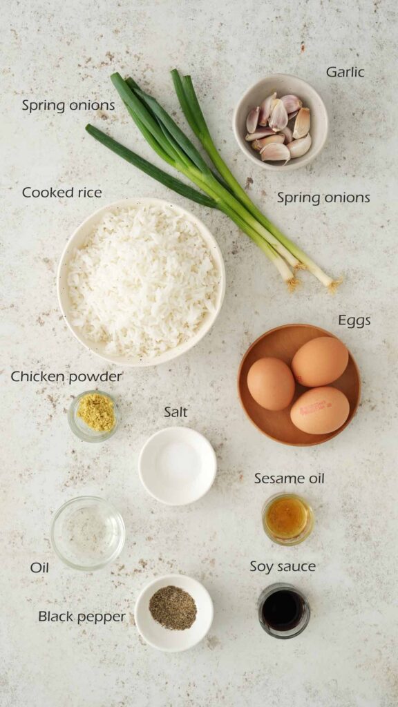 Japanese Garlic Fried Rice - Khin's Kitchen